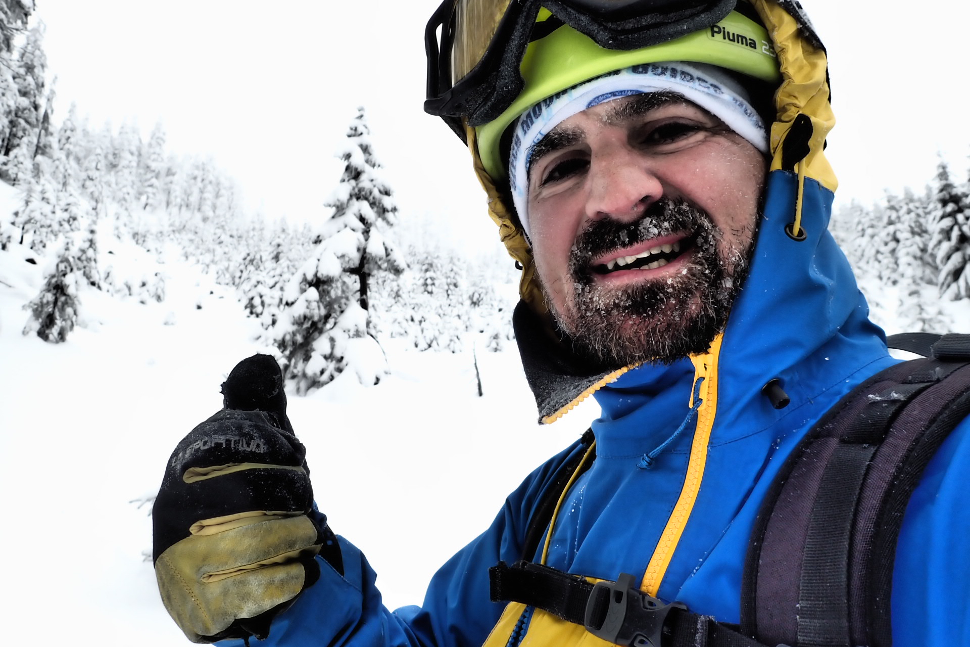 Autor: Vojtěch Dvořák | Tulení pásy